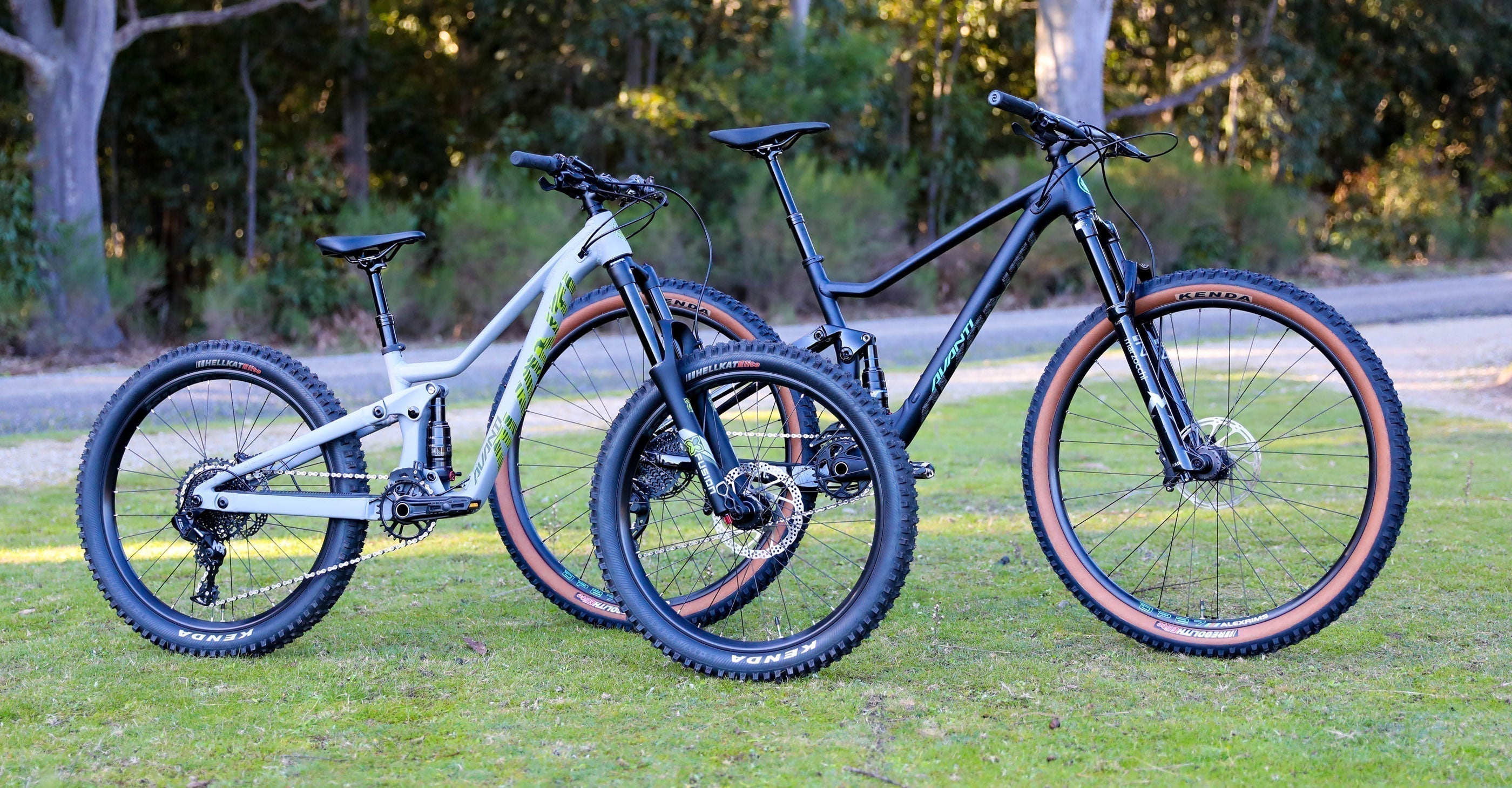 All-New Avanti Hammer S & Hammer Jnr